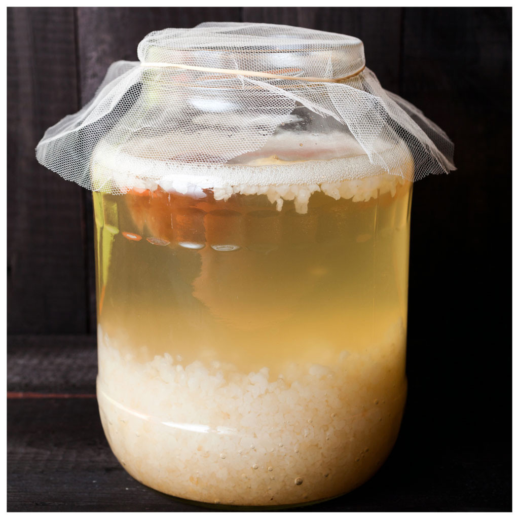 100g Waterkefir korrels / Plantje | Kefiralia