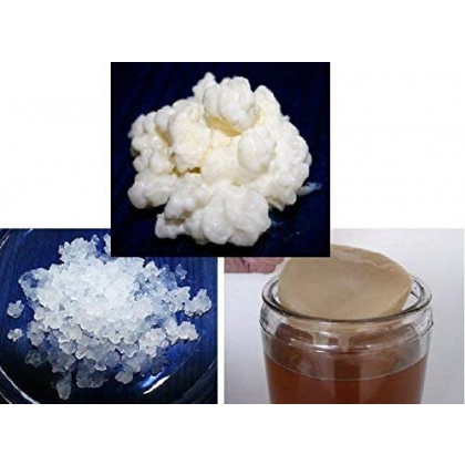 Kopen Waterkefir | Kefiralia